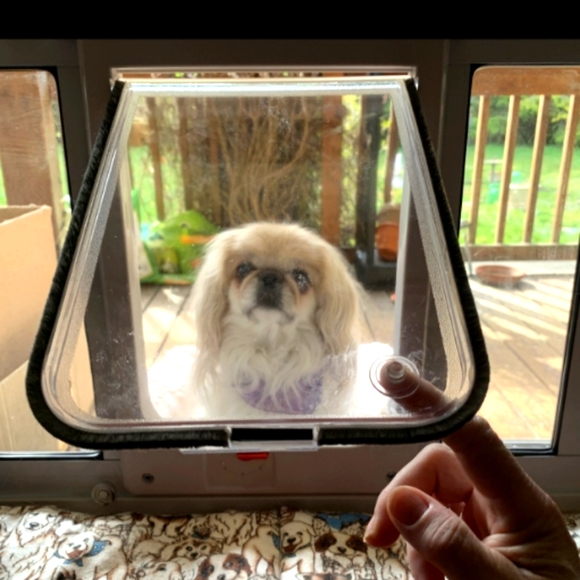 Ideal Pet Products | Dog | Ideal Pet Aluminum Sash Window Pet Door Copy ...